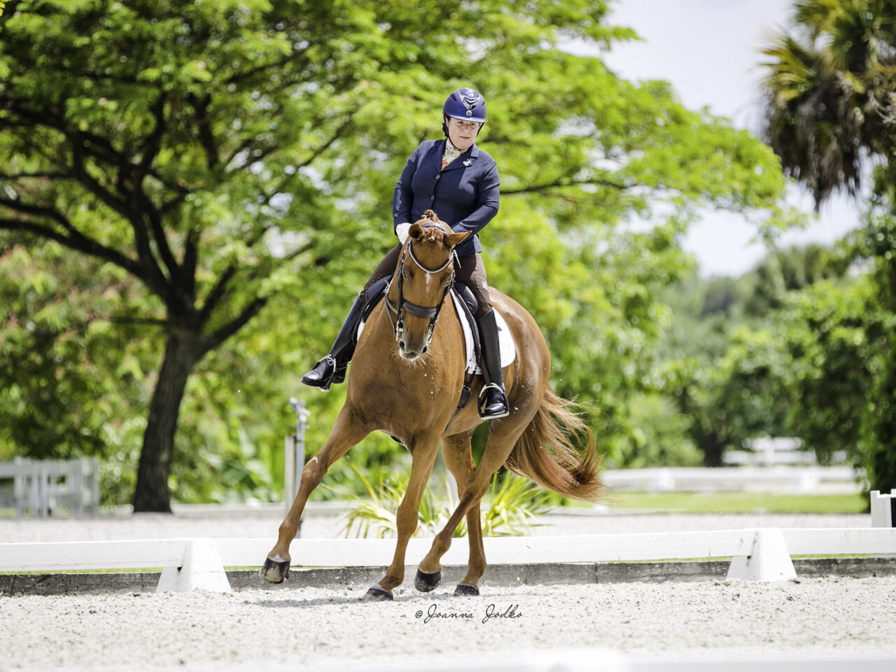United States Para-Equestrian Association